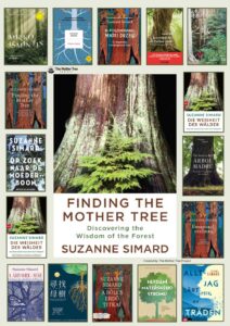 Home - Suzanne Simard, Author and Professor of Forest Ecology