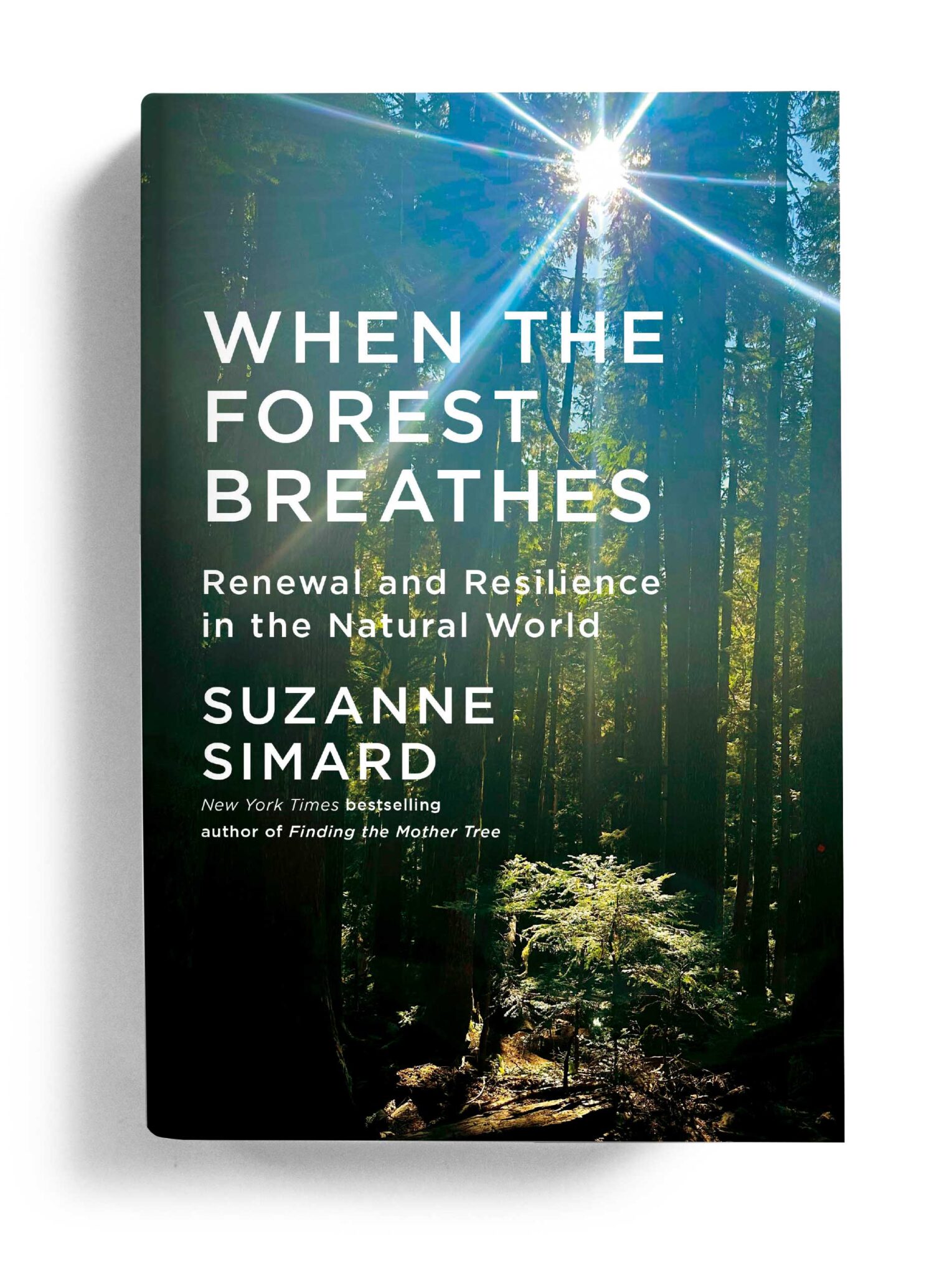 Home - Suzanne Simard, Author and Professor of Forest Ecology